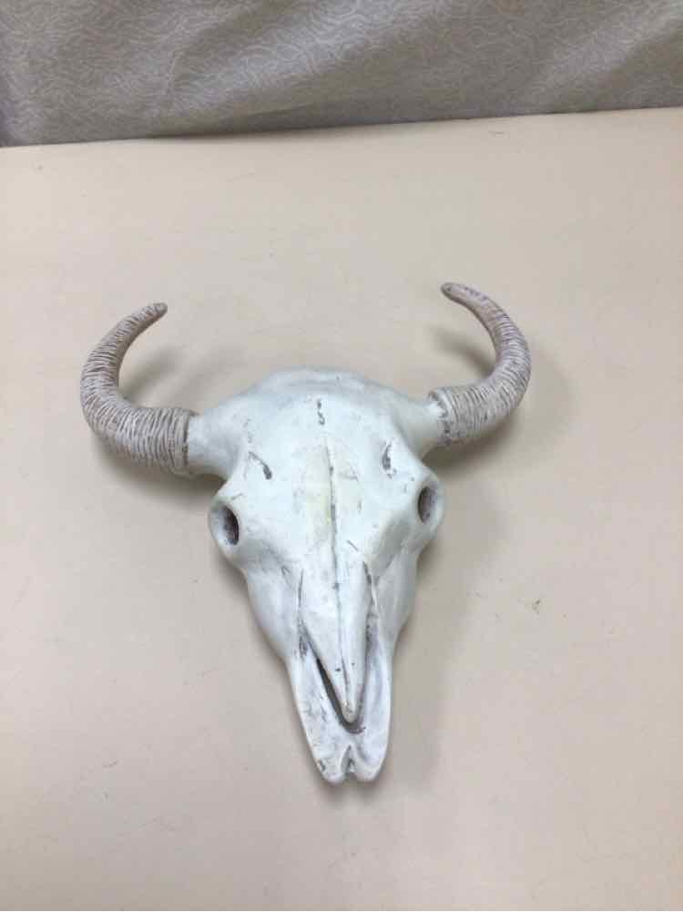 CERAMIC STEER SKULL – onemoretimeetc